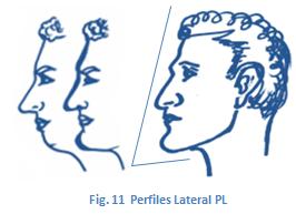 Diccionario de Morfopsicología y Psicología : Morfopsicología Integral